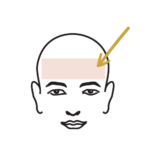 A Waxing Studio - The Waxology Beauty | Everett, WA